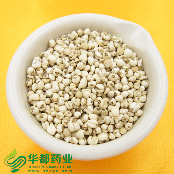 Bulbus Fritillariae Cirrhosae / 川贝母(松贝母) / Chuan Bei Mu - Buy Chinese ...